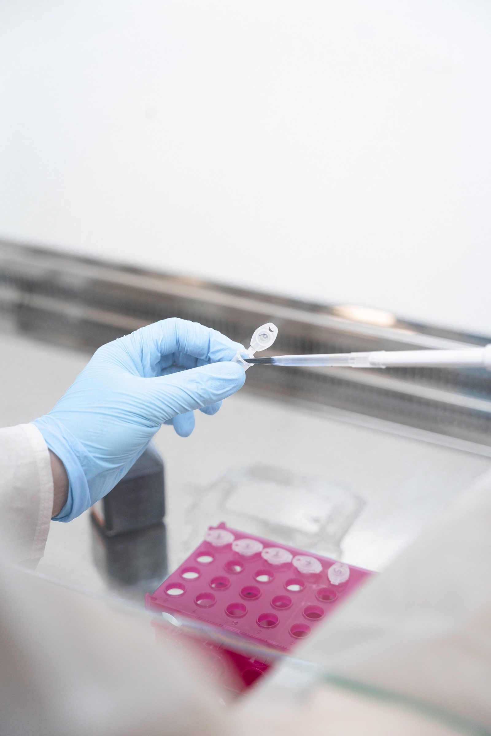 Immunoassays | Immunoassay Services | Inaphaea BioLabs